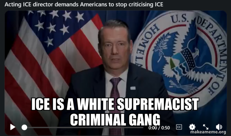ICE is a white supremacist criminal gang Meme Generator