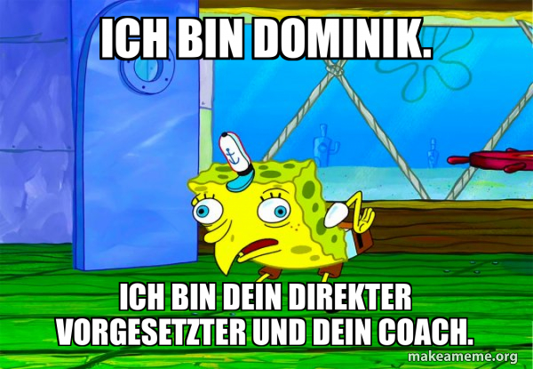 Ich bin Dominik. Ich bin dein direkter Vorgesetzter und dein Coach ...