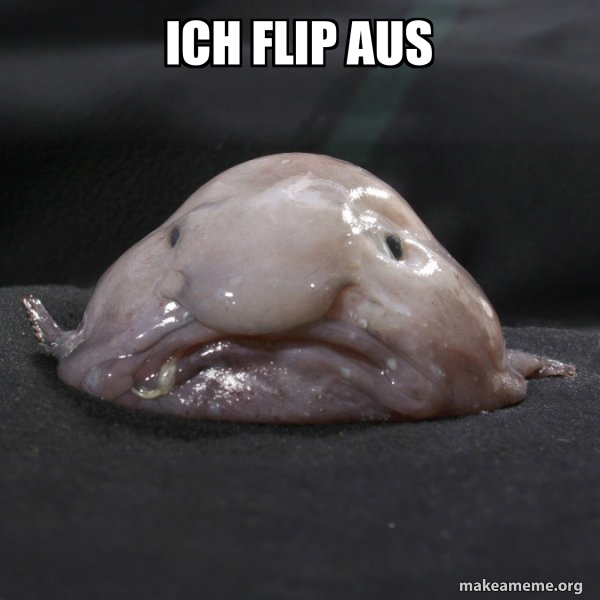 Ich flip aus - Blobfish Meme Generator