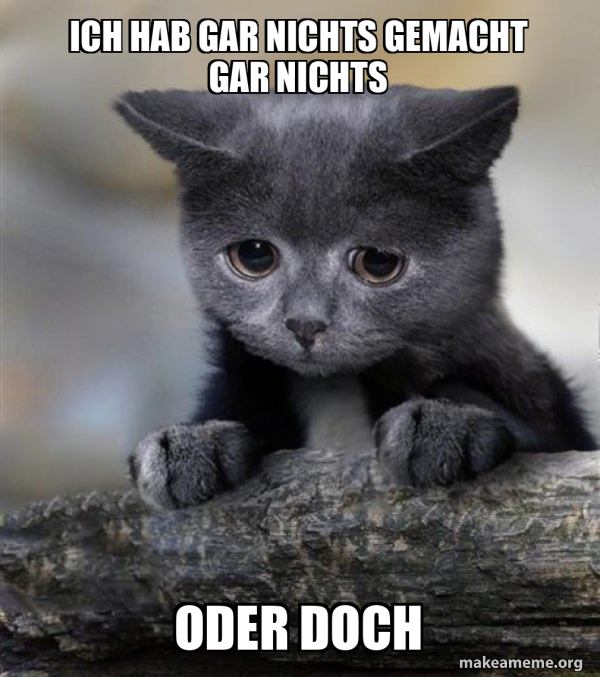 Ich hab gar nichts gemacht gar nichts Oder doch - Confession Cat Meme ...
