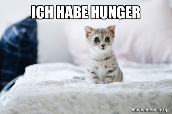 Ich habe Hunger - Cute Kitten Meme Generator