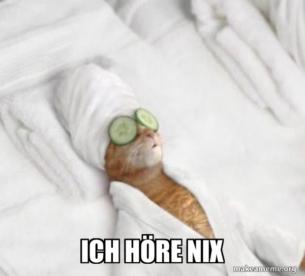 Ich höre nix - Pampered Cat Meme Meme Generator