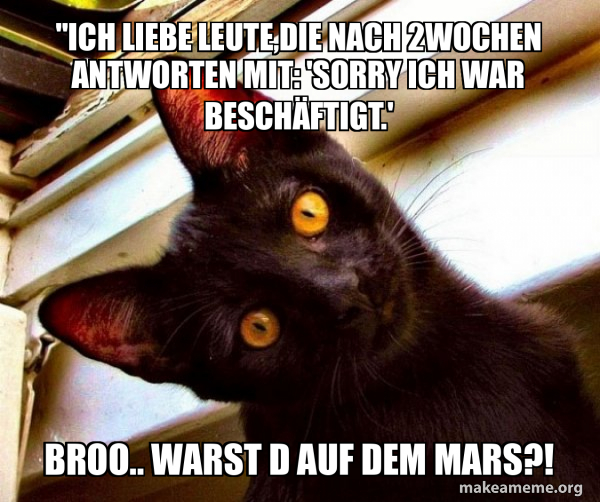 "Ich Liebe Leute,die nach 2wochen antworten mit: 'Sorry ich war beschäftigt.' Broo.. warst d auf ...