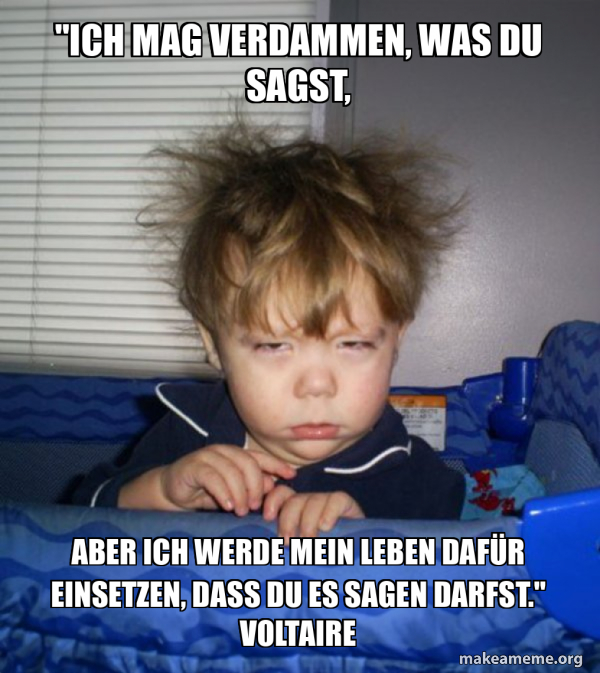 "Ich mag verdammen, was du sagst, aber ich werde mein Leben dafür ...