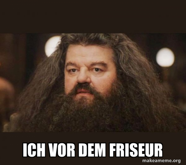 ich vor dem Friseur - Hagrid - I should not have said that Meme Generator