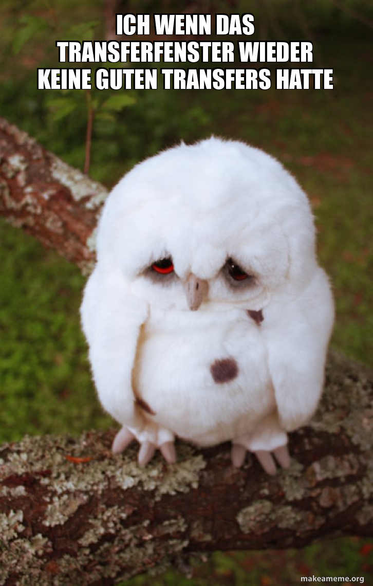 ich wenn das Transferfenster wieder keine guten Transfers hatte - Sad ...