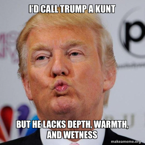 I’d call trump a kunt But he lacks depth, warmth, and wetness - Donald ...
