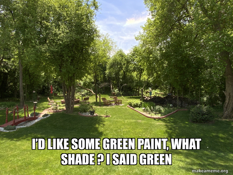 i’d like some green paint, what shade ? i said green Meme Generator