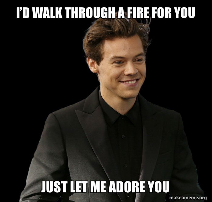 I’d walk through a fire for you Just let me adore you Meme Generator