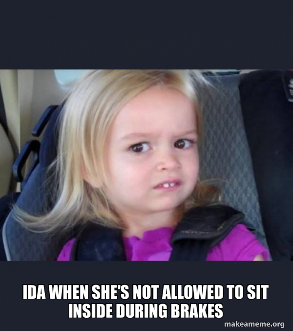 Ida when she's not allowed to sit inside during brakes - Side-Eyes ...