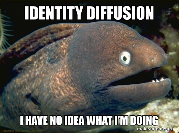 IDENTITY DIFFUSION I HAVE NO IDEA WHAT I'M DOING - Bad Joke Eel Meme ...