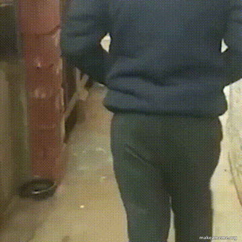 - Idiot kicking dog in a cage Meme Generator