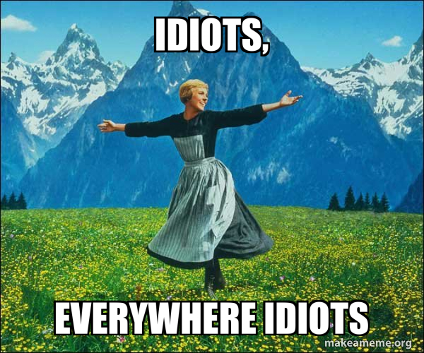 Idiots, everywhere Idiots - Sound of Music Meme Generator