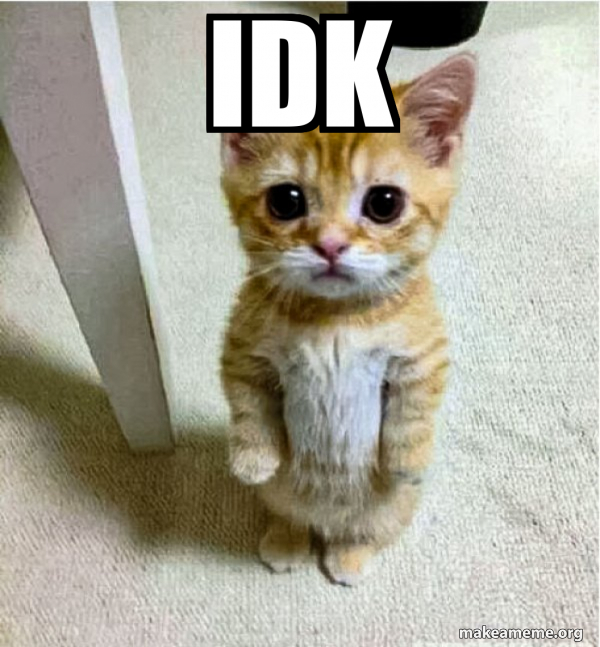 Idk - Cute Cat Standing Meme Generator