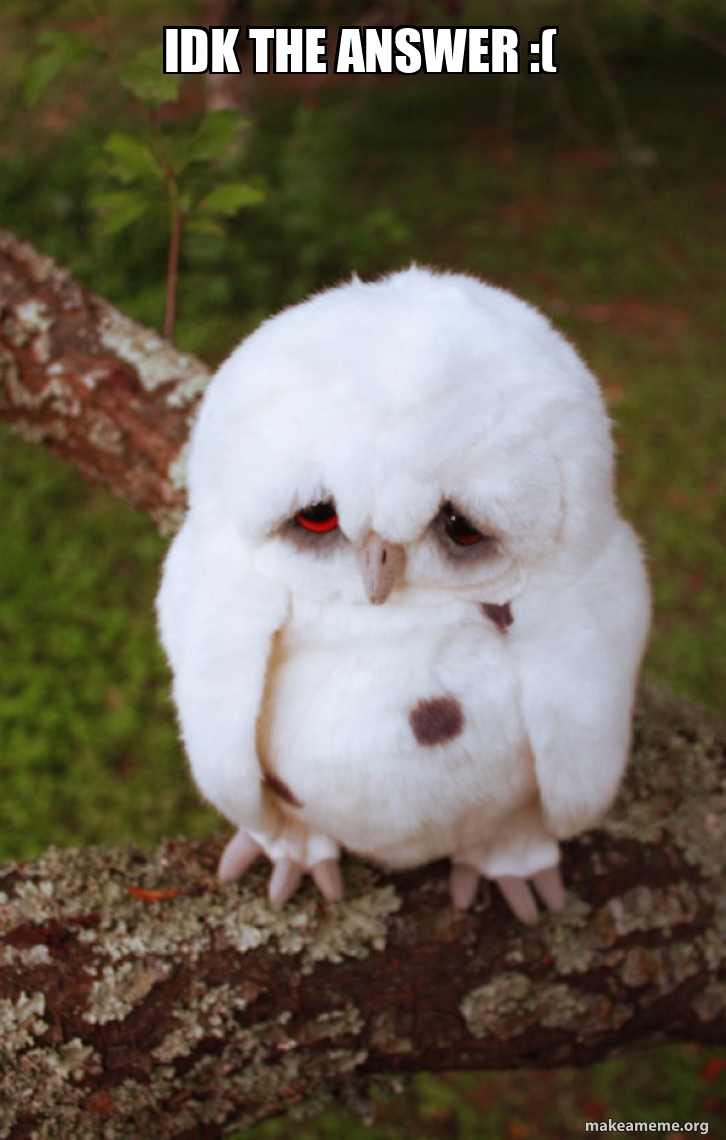 idk the answer :( - Sad Owl Meme Generator