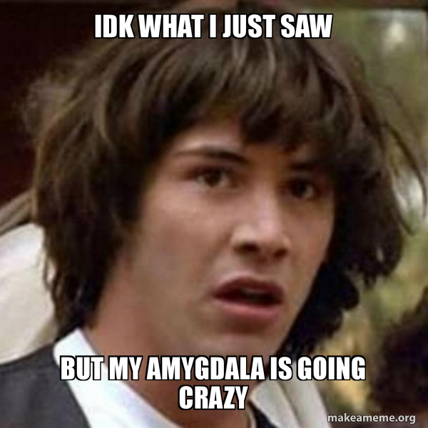 idk what i just saw but my amygdala is going crazy - Conspiracy Keanu ...