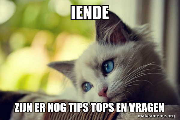 Iende zijn er nog tips tops en vragen - First World Cat Problems Meme ...