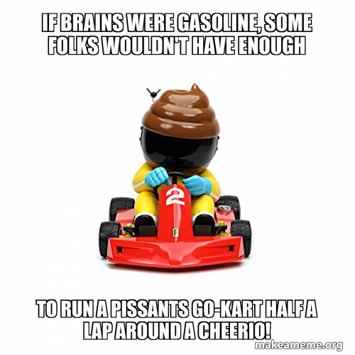 If brains were gasoline, some folks wouldn't have enough to run a ...