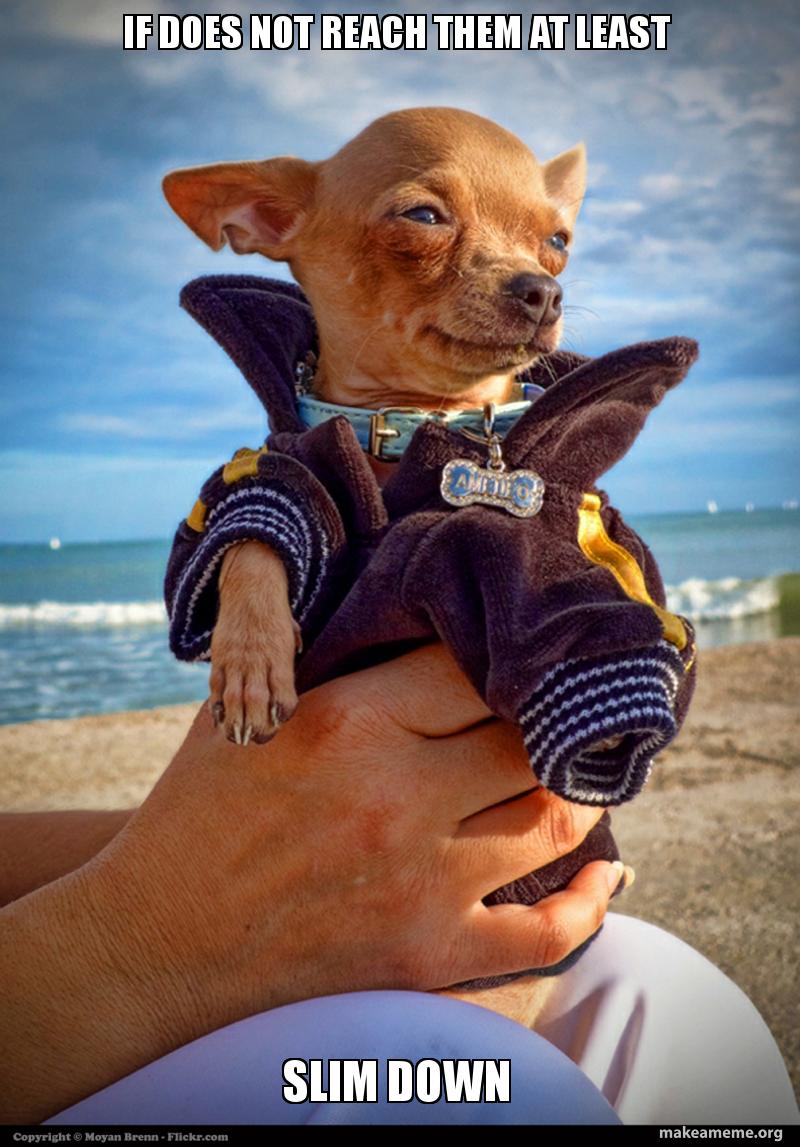 if does not reach them at least slim down Meme Generator