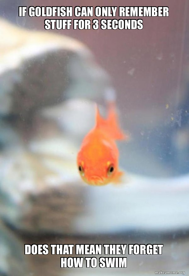 If goldfish can only remember stuff for 3 seconds Does that mean they ...