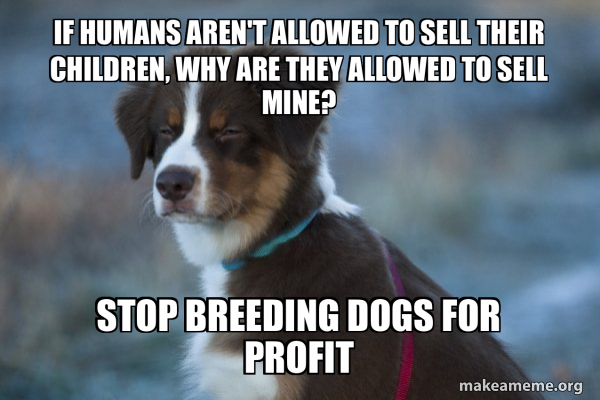 If humans aren't allowed to sell their children, why are they allowed ...