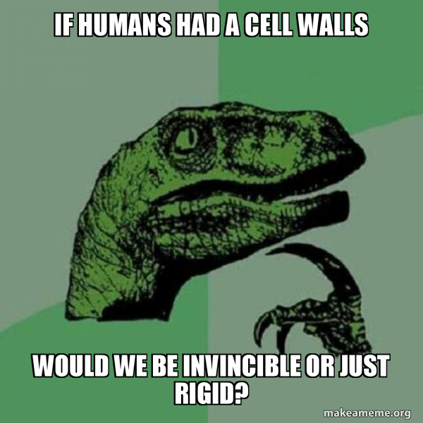If humans had a cell walls Would we be invincible or just rigid ...