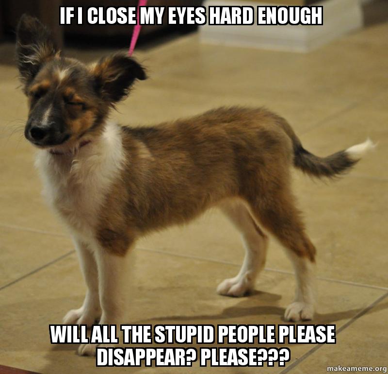 If I close my eyes hard enough will all the stupid people please ...