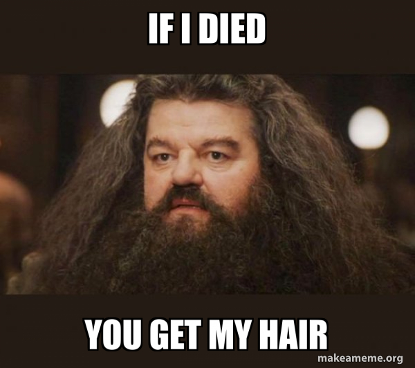 if i died you get my hair - Hagrid - I should not have said that Meme ...