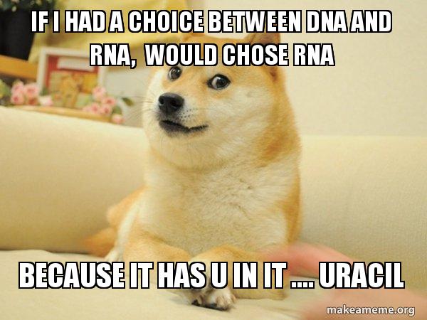 If I had a choice between DNA and RNA, would chose RNA because it has U ...