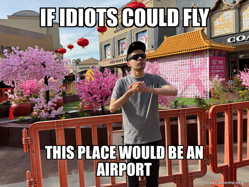 if idiots could fly this place would be an airport Meme Generator