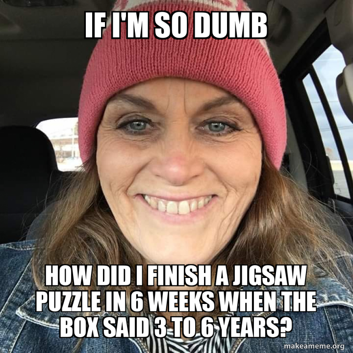 if I'm so dumb how did i finish a jigsaw puzzle in 6 weeks when the box ...