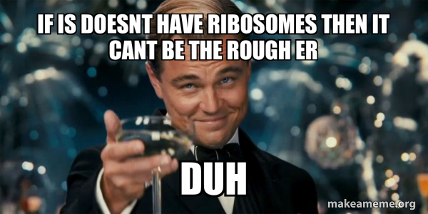 if is doesnt have ribosomes then it cant be the rough er DUH - Great ...