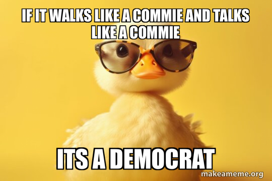 If it walks like a commie and talks like a commie its a democrat Meme ...