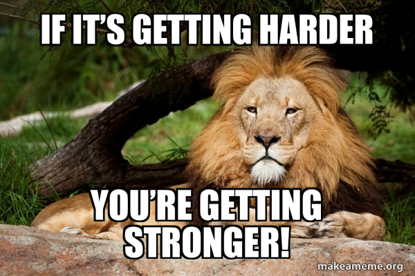 IF IT’S GETTING HARDER YOU’RE GETTING STRONGER! - Contemplative Lion ...