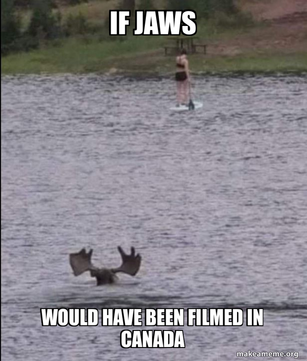 If JAWS would have been filmed in canada Meme Generator