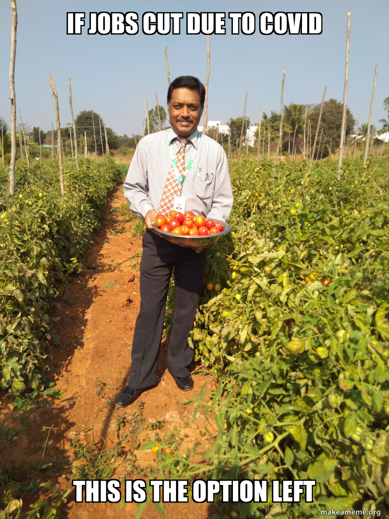 IF JOBS CUT DUE TO COVID THIS IS THE OPTION left - Impact of Covid Meme ...