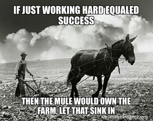 If just working hard equaled success then the mule would own the farm ...