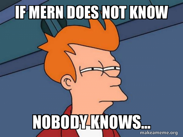 If Mern does not know Nobody knows... - Futurama Fry Meme Generator