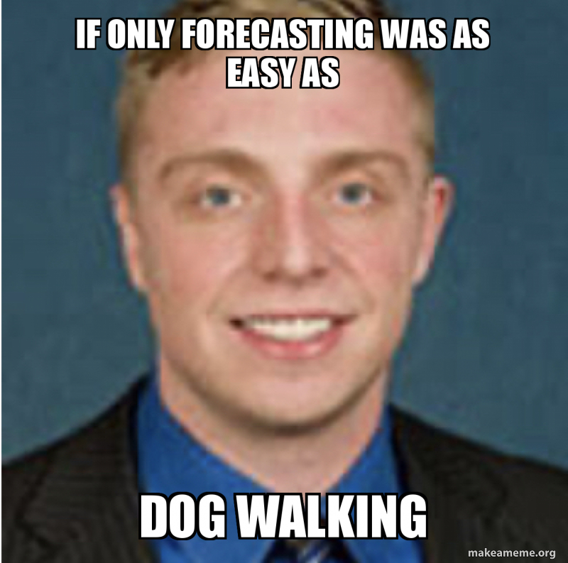 If only forEcasting was as easy as Dog Walking Meme Generator