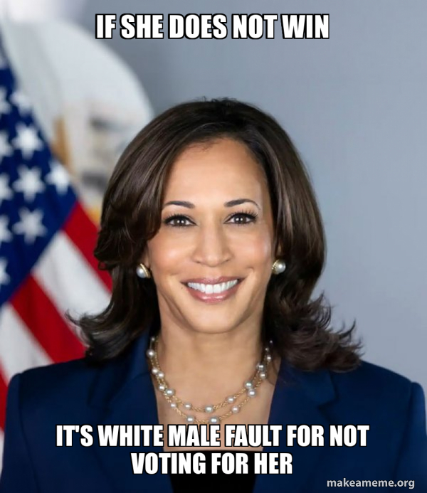 If she does not win It's white male fault for not voting for her ...