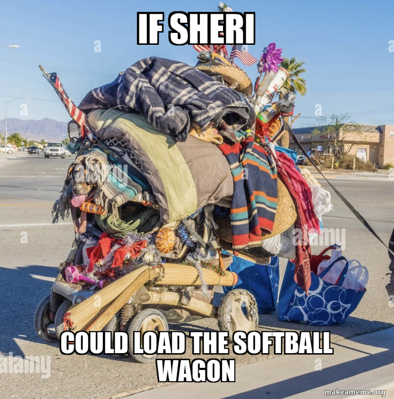 If Sheri Could load the softball wagon Meme Generator