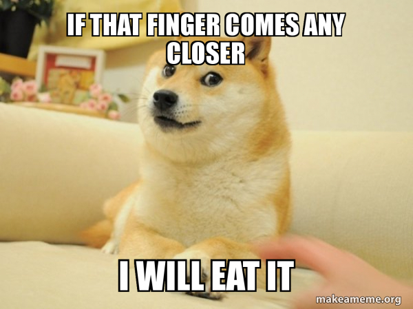if that finger comes any closer i will eat it - Doge Meme Generator