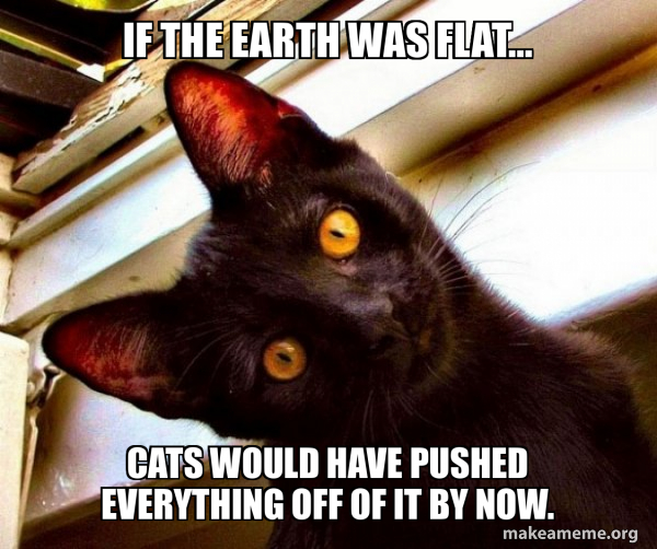 If the earth was flat... cats would have pushed everything off of it by ...