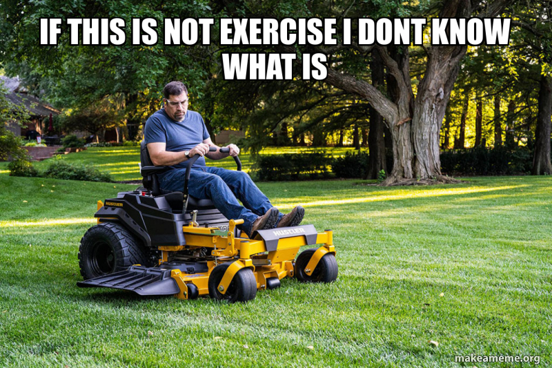 if this is not exercise i dont know what is Meme Generator