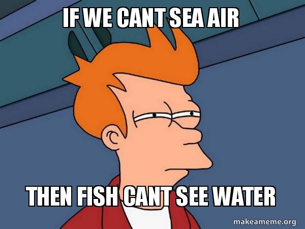 if we cant sea air then fish cant see water - Futurama Fry Meme Generator