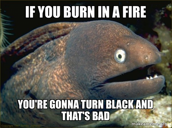 if you burn in a fire you're gonna turn black and that's bad - Bad Joke Eel Meme Generator