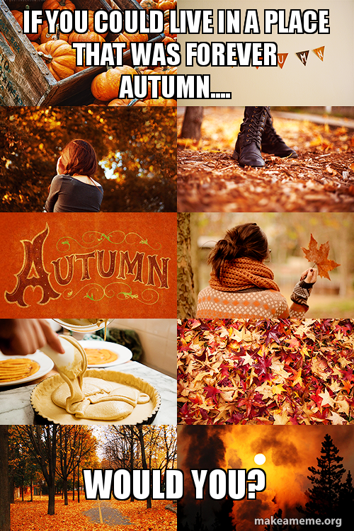 Autumn Name Memes