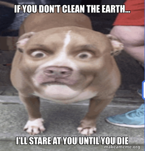 If you don't clean the earth... I'll stare at you until you die Meme ...
