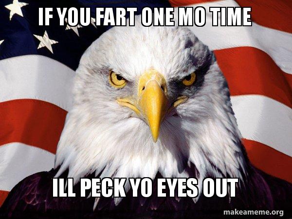 if you fart one mo time ill peck yo eyes out - American Pride Eagle ...