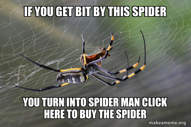 If you get bit by this spider you turn into spider man Click here to ...